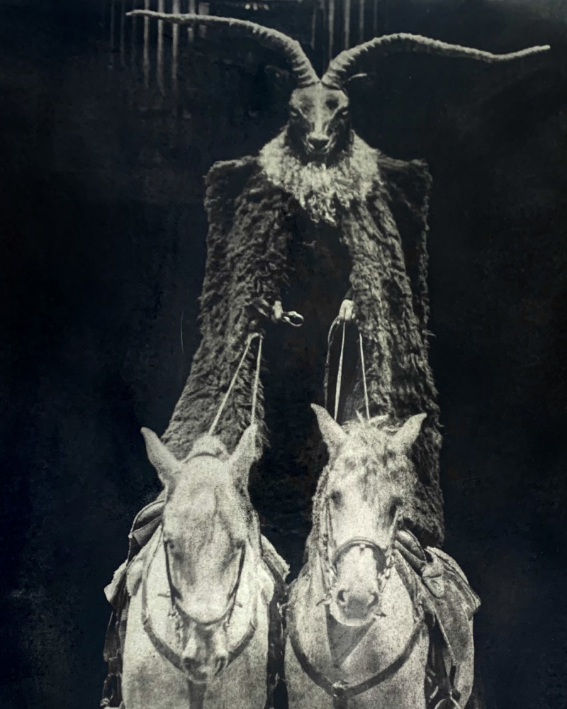 Alfons Alt - Goat in post
